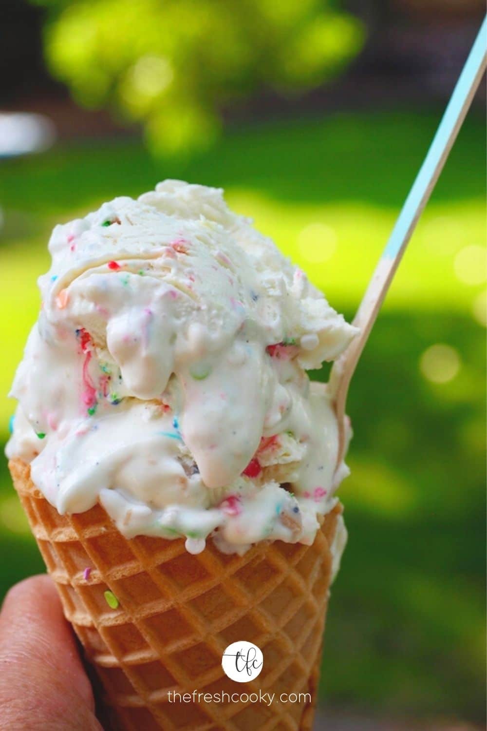 10 Minute No Churn Circus Animal Ice Cream • The Fresh Cooky