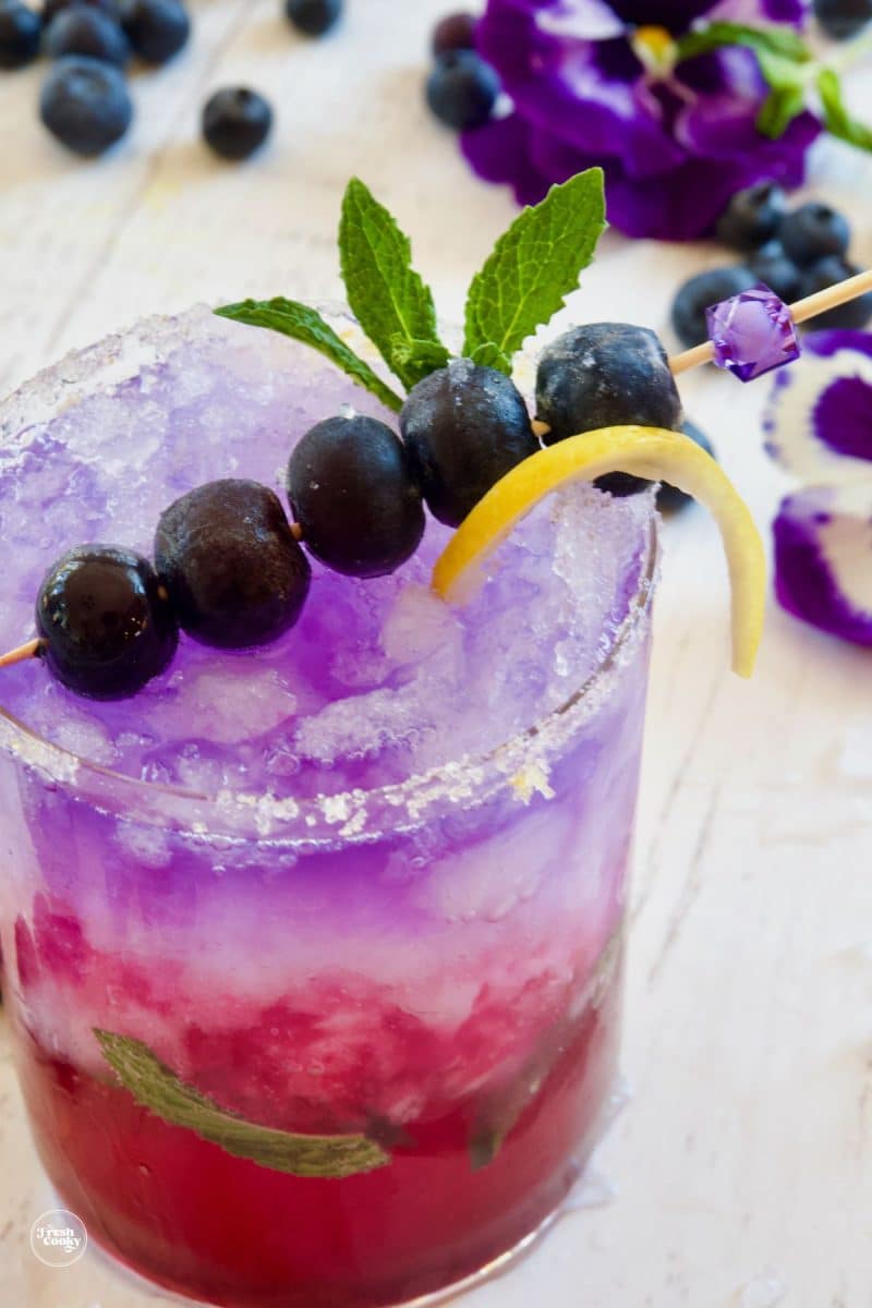 Blueberry Gin Fizz Cocktail (Empress Gin Cocktail) • The Fresh Cooky