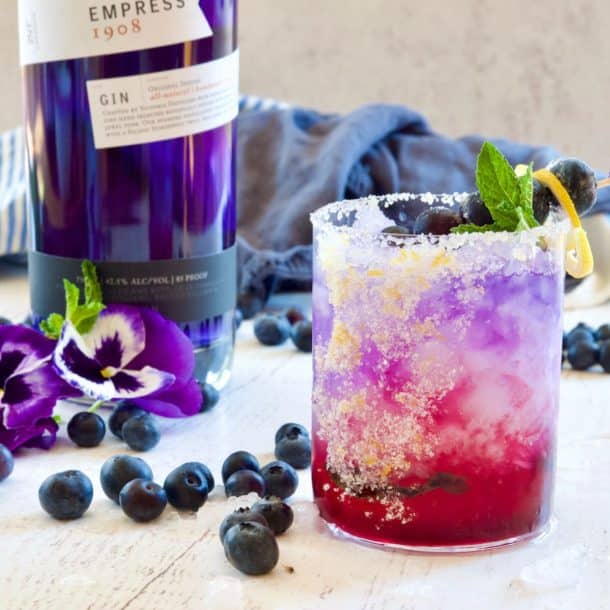 Blueberry Gin Fizz Cocktail (Empress Gin Cocktail) • The Fresh Cooky