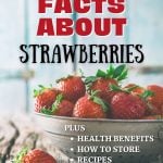 Fun Facts about Strawberries • The Fresh Cooky