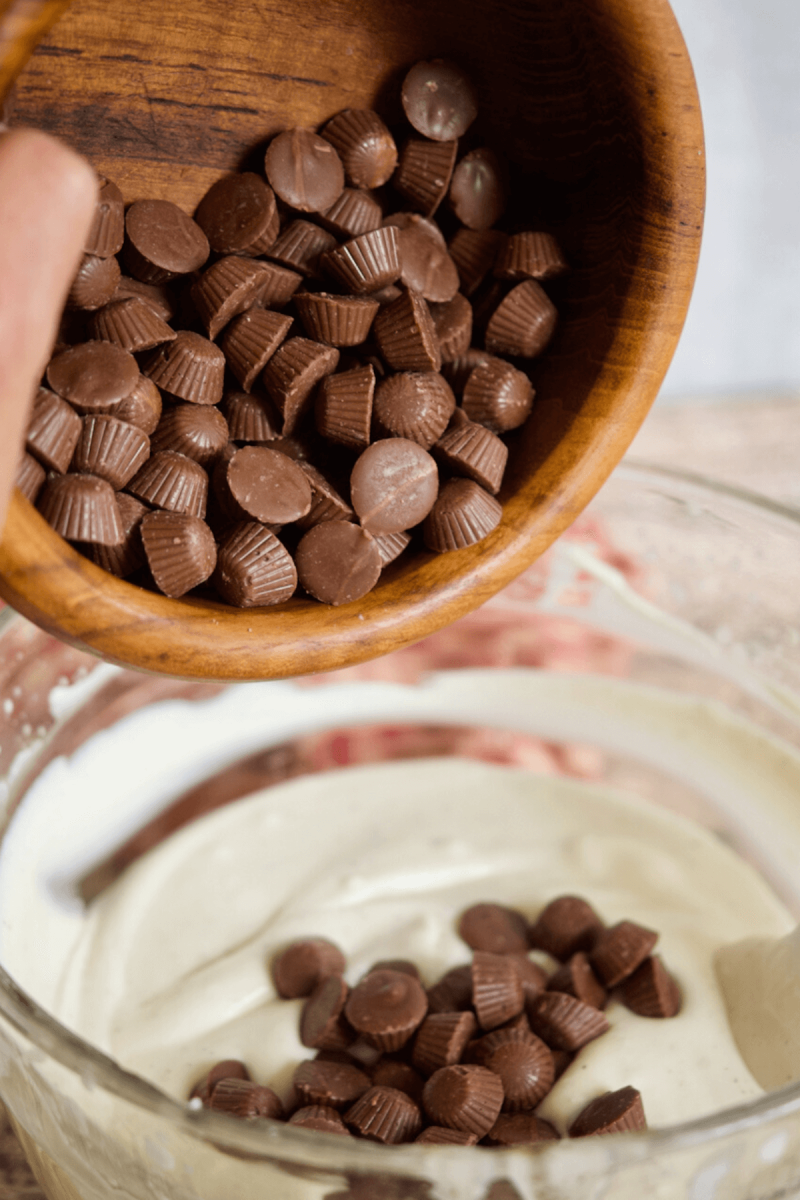 The Best Easy Moose Tracks Ice Cream Recipe • The Fresh Cooky